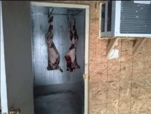 19 Easy Homemade Meat Cooler Plans