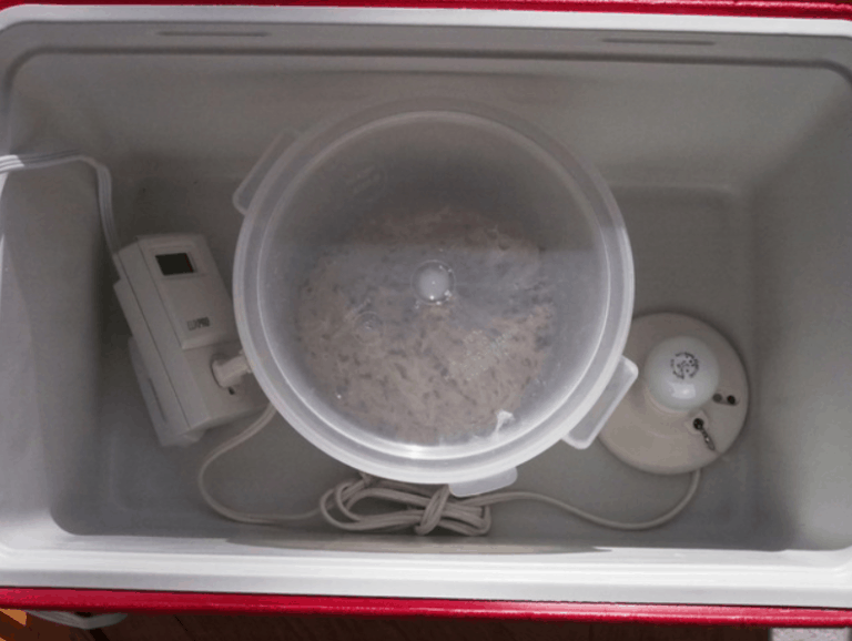 19 Easy Homemade Proofing Box Plans