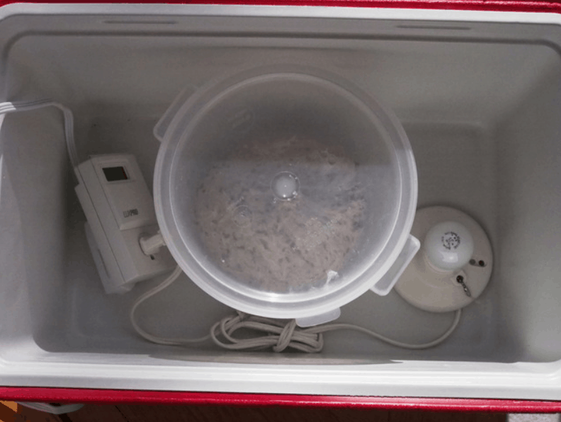 19 Easy Homemade Proofing Box Plans